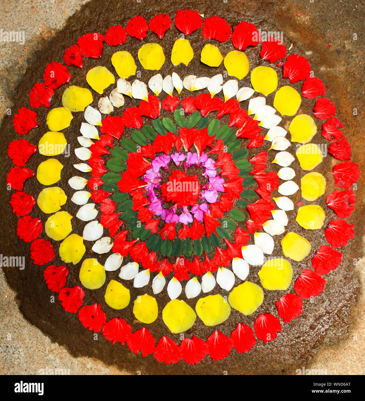 Onam flowers designs hi-res stock photography and images - Alamy