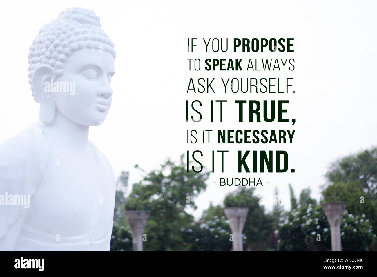 If you propose to speak always ask yourself, is it true, is it ...