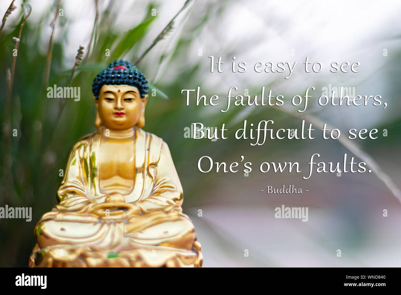 It is easy to see the faults of others, but difficult to see one’s own ...