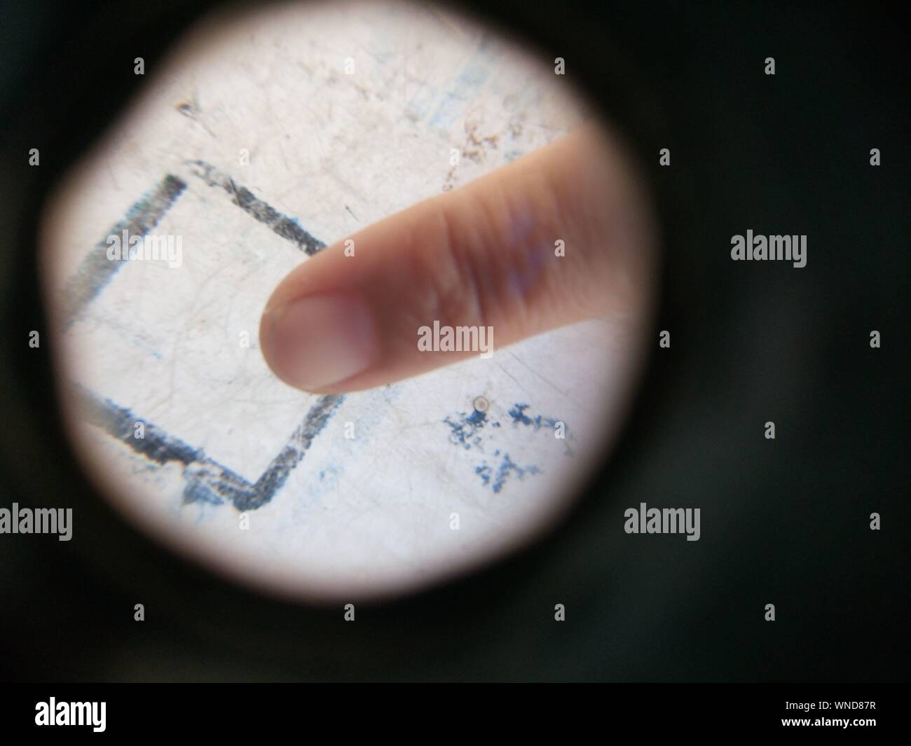 Fingernail microscope hi-res stock photography and images - Alamy