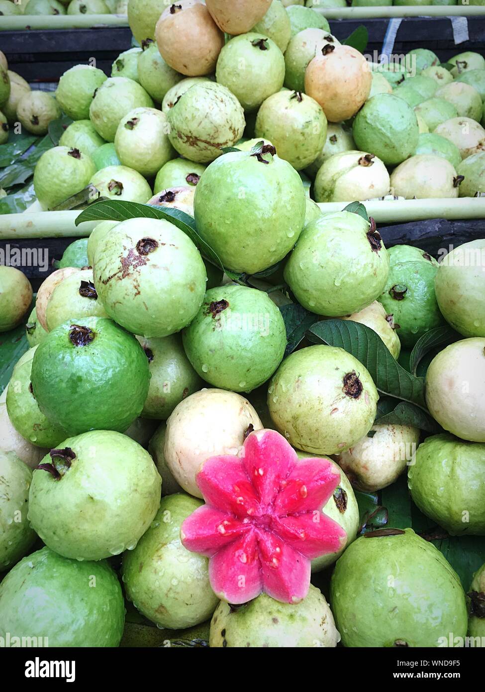 Large guava fruits hi-res stock photography and images - Alamy