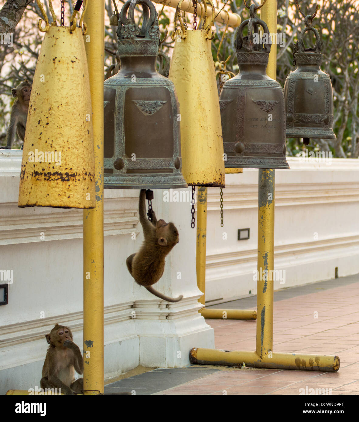 Hanging bell hi-res stock photography and images - Alamy