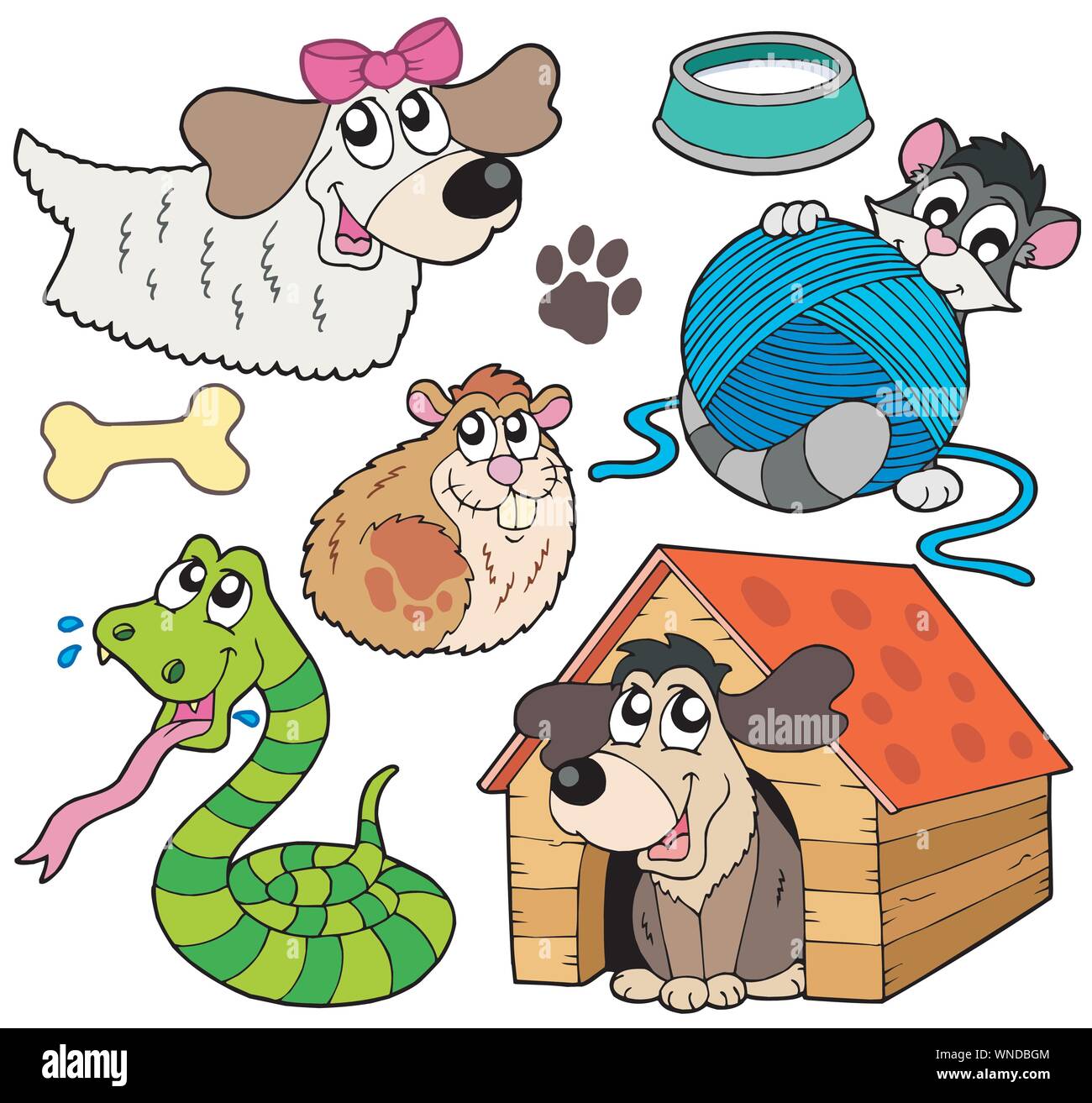 Pet collection 2 Stock Vector Image & Art - Alamy