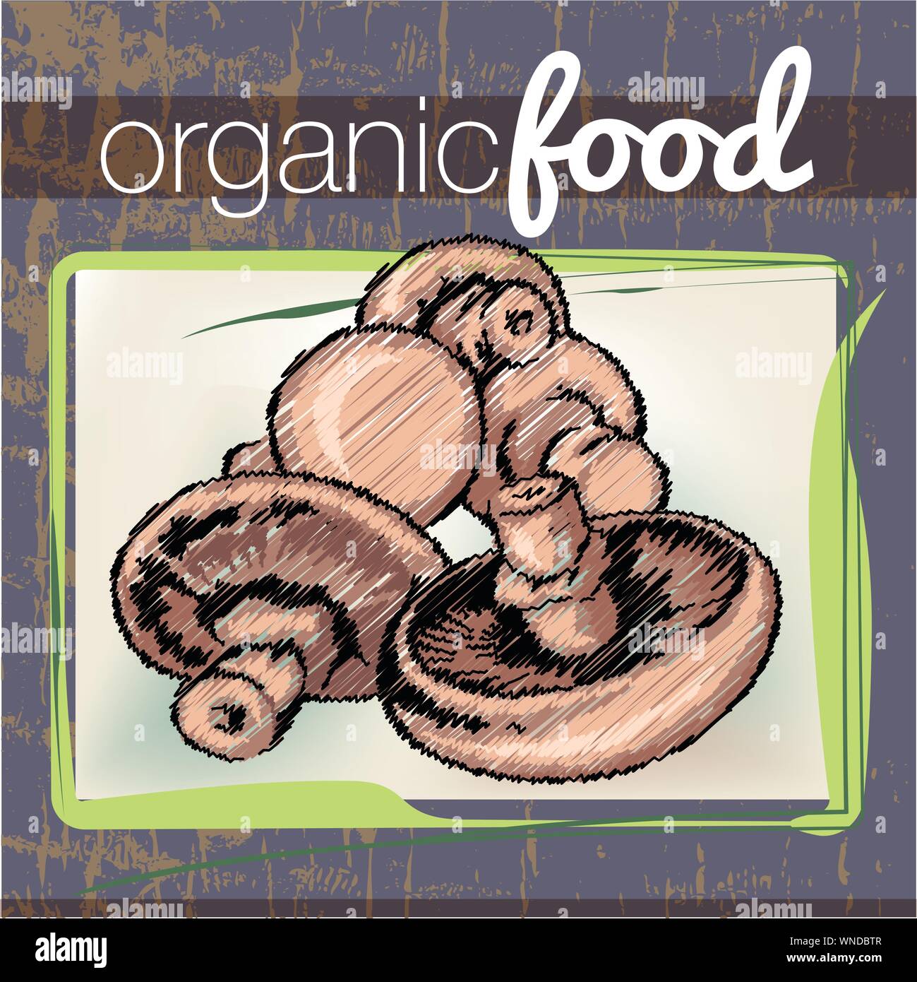 Organic Food illustration Stock Vector Image & Art - Alamy