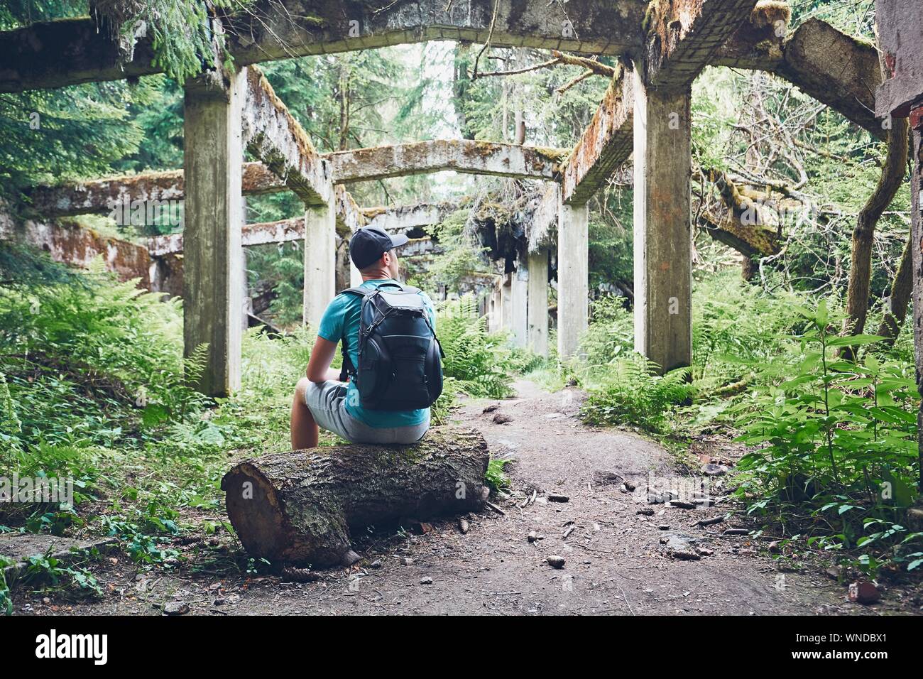 Man sitting on tree stump hi-res stock photography and images - Alamy