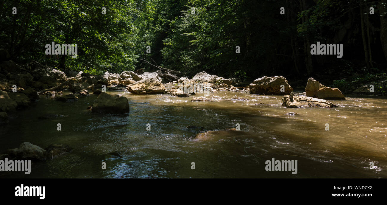nature around us Stock Photo - Alamy