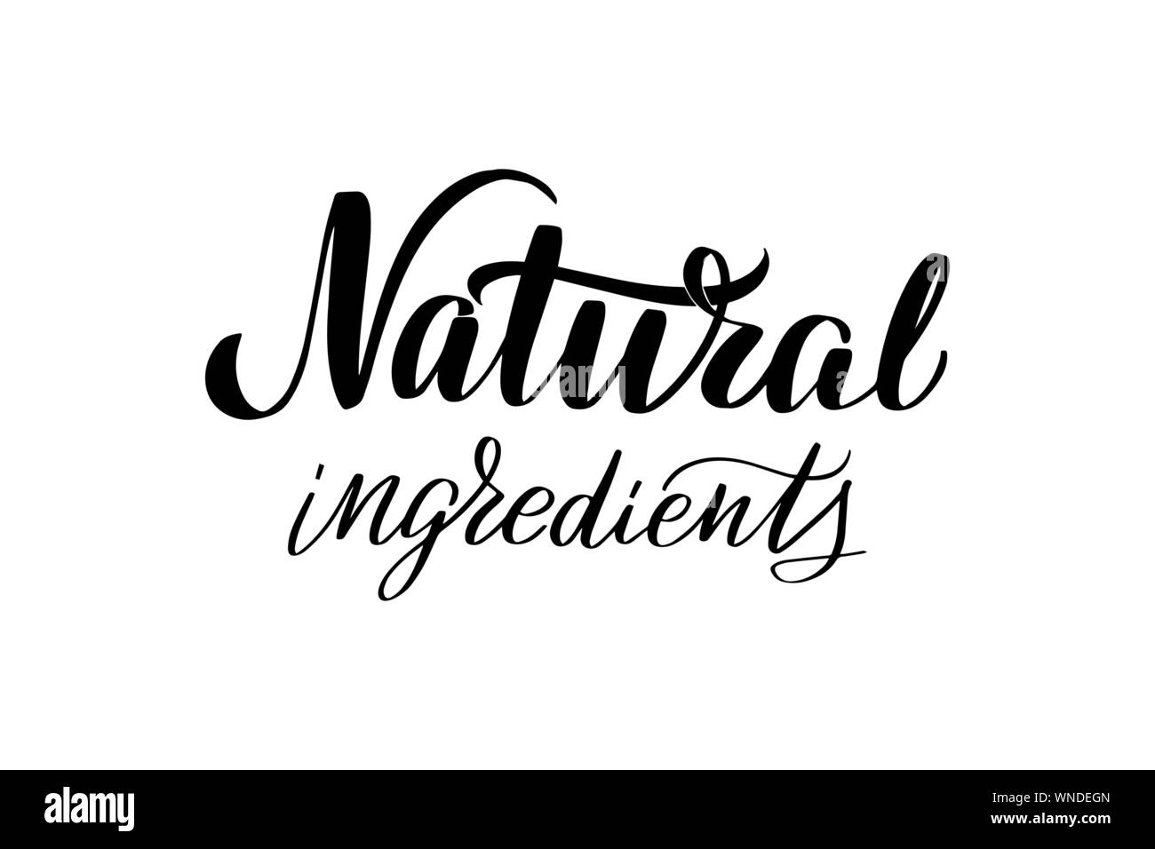 Inspirational handwritten brush lettering . Vector calligraphy ...