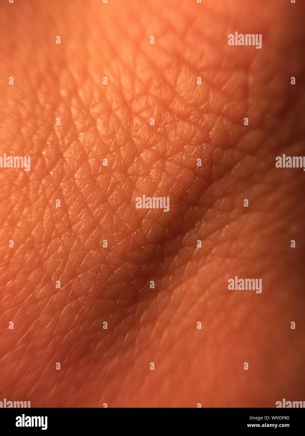 Human skin macro hi-res stock photography and images - Alamy