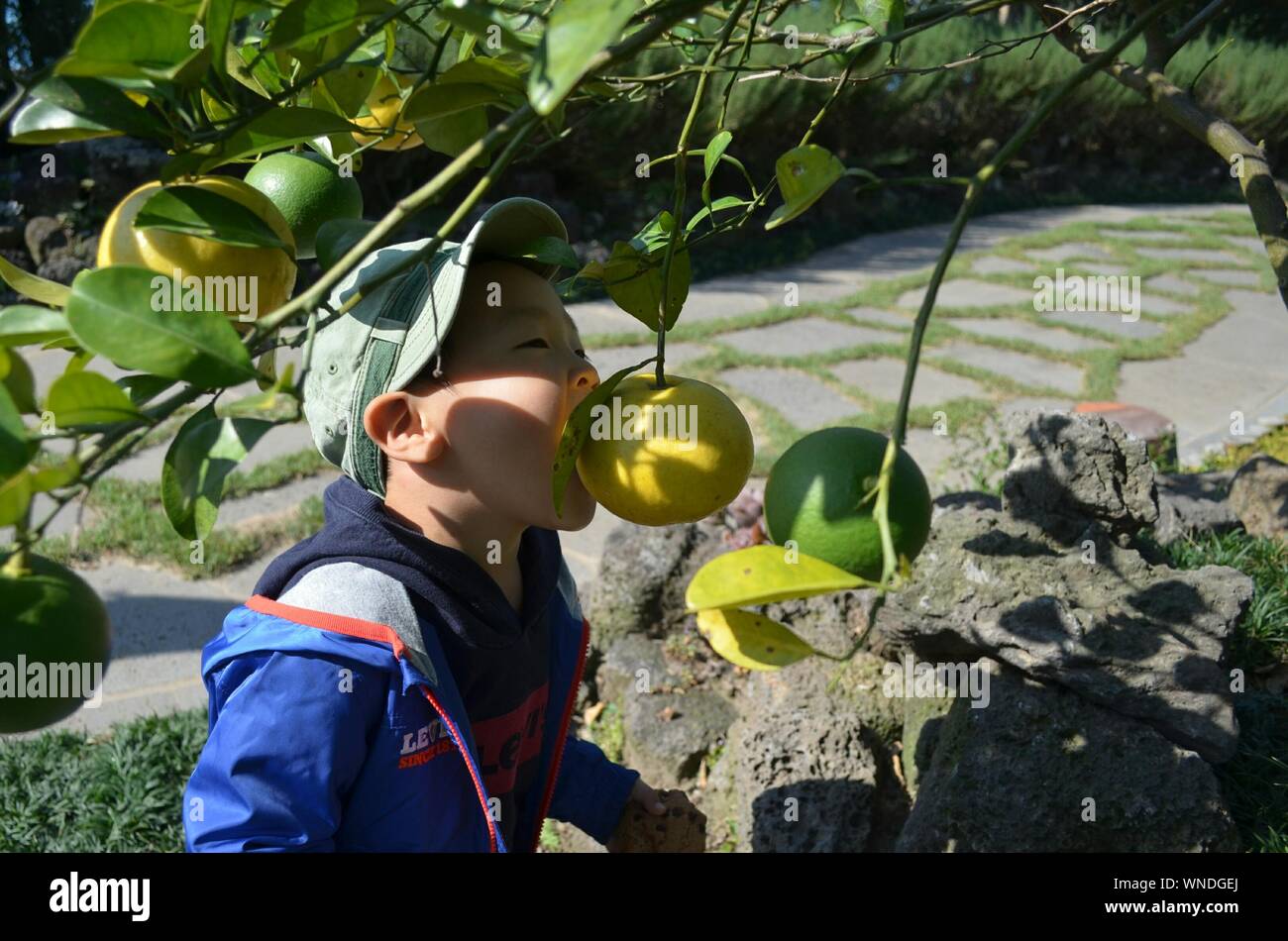 Asian boy orange hi-res stock photography and images - Alamy