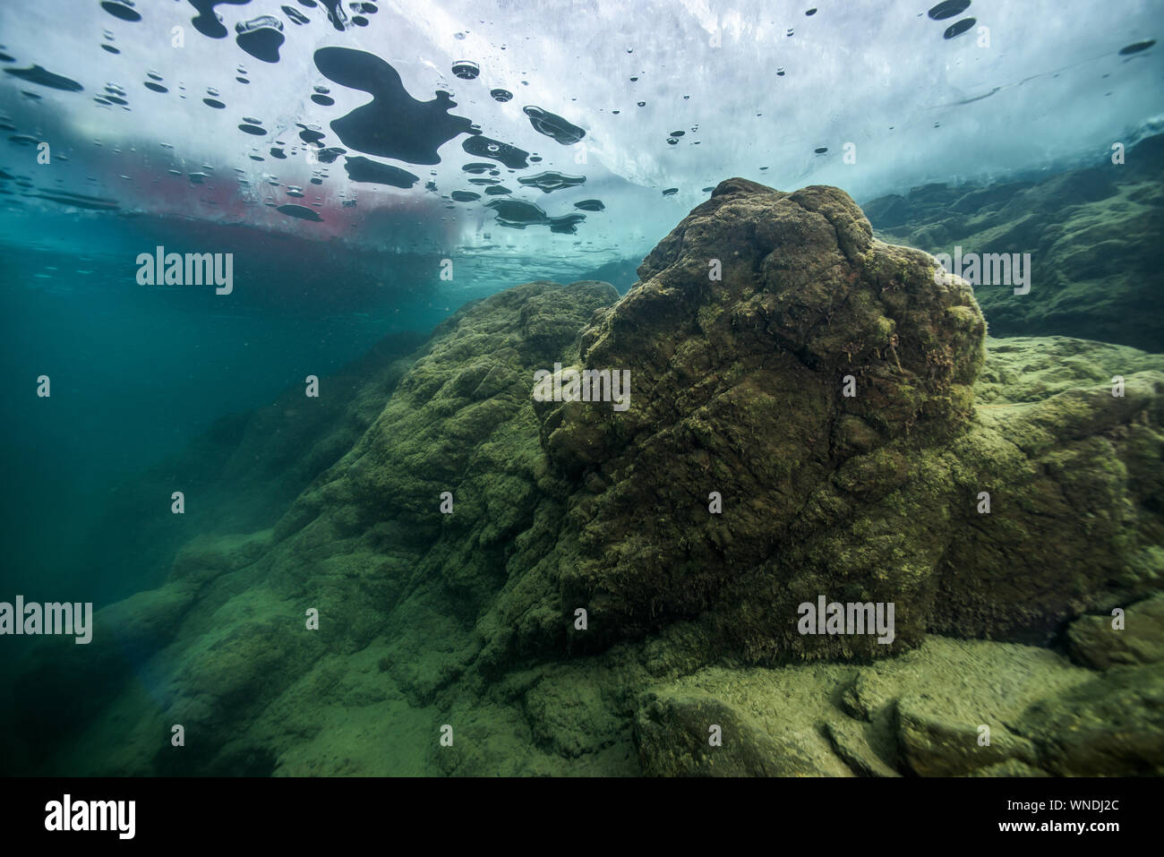 Rock underwater hi-res stock photography and images - Alamy