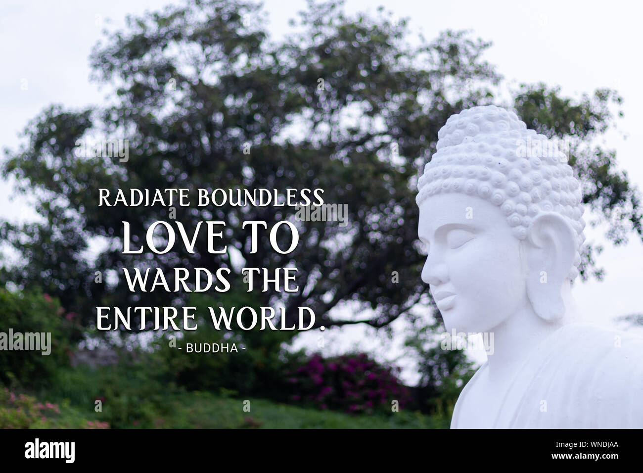 Boundless world hi-res stock photography and images - Alamy