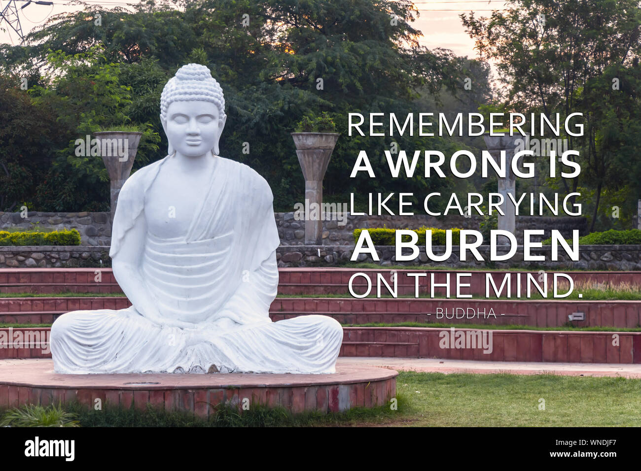 Remembering a wrong is like carrying a burden on the mind - buddha ...