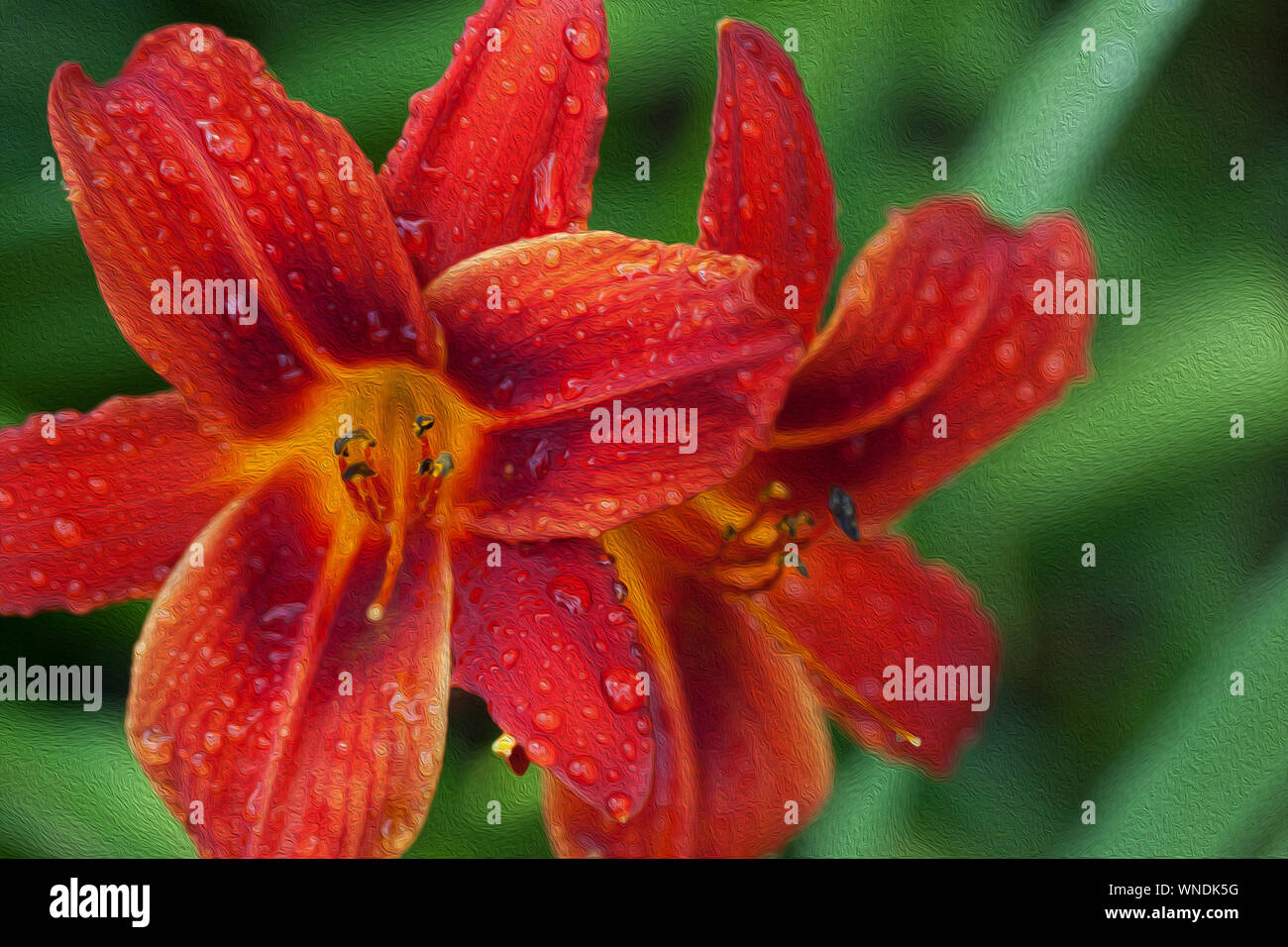 Oil Paint Filter High Resolution Stock Photography and Images - Alamy