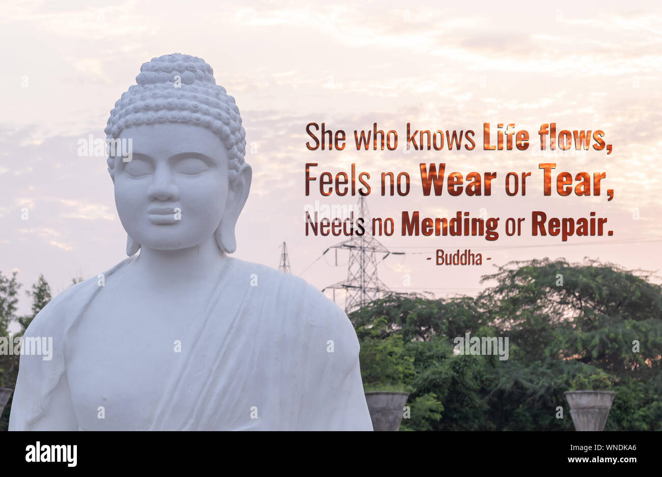 She who knows life flows, feels no wear or tear, needs no mending or ...