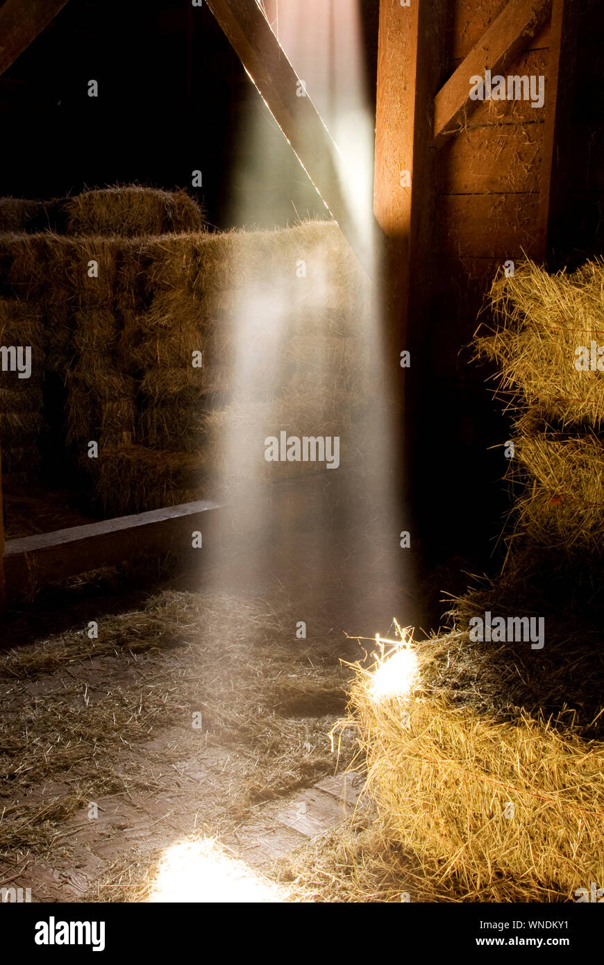 Yellow building sunbeam hi-res stock photography and images - Alamy