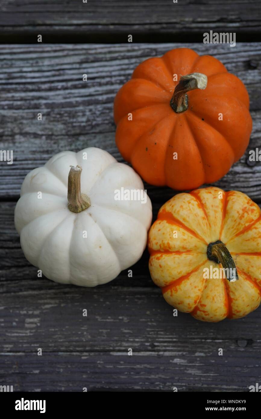 Fall Autumn pumpkins background with copy space, selective focus Stock ...