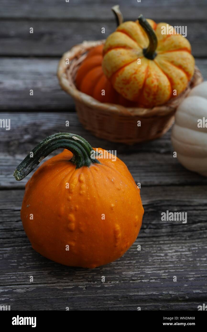 Fall Autumn pumpkins background with copy space, selective focus Stock ...