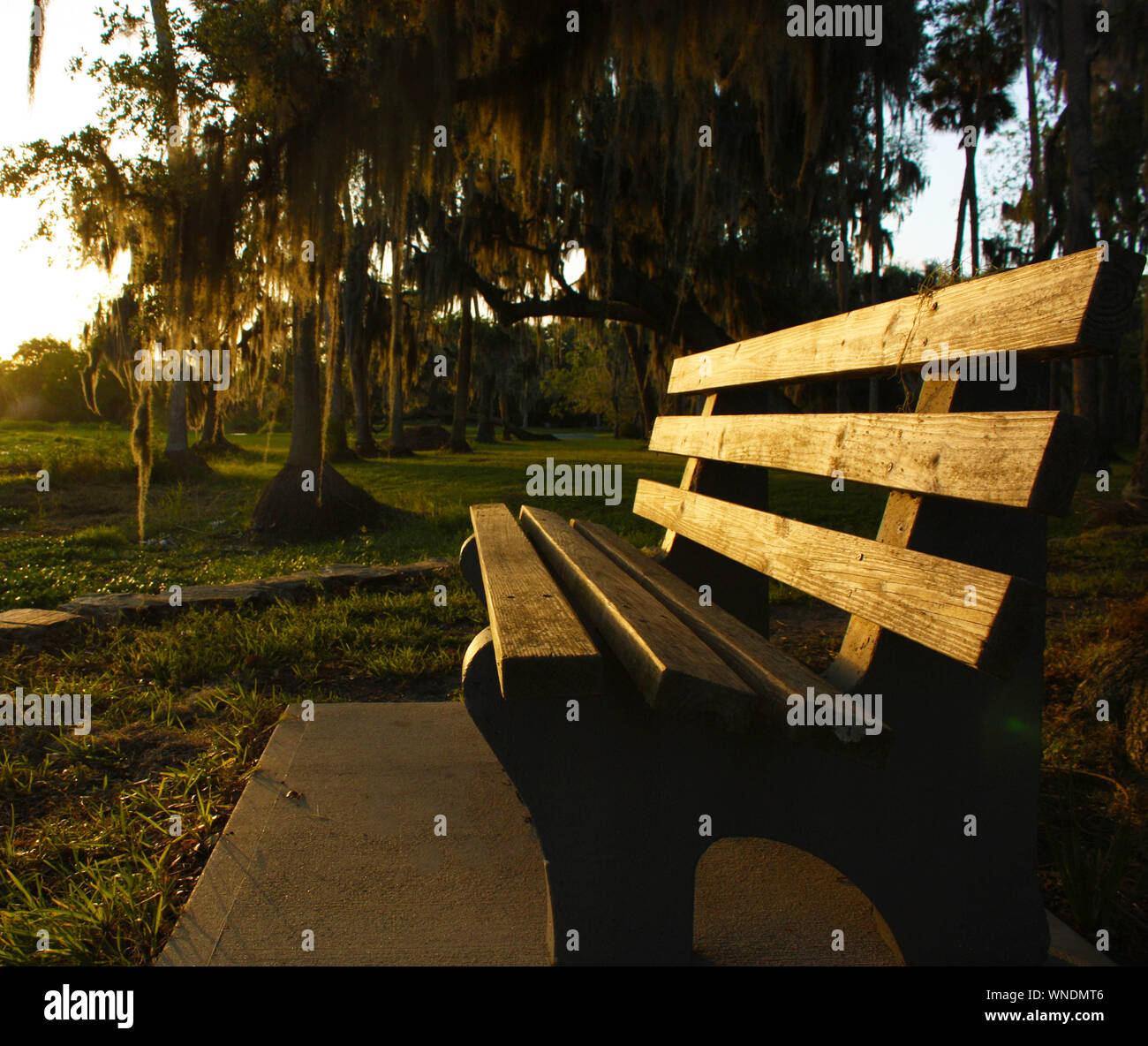 Trees and bench hi-res stock photography and images - Alamy