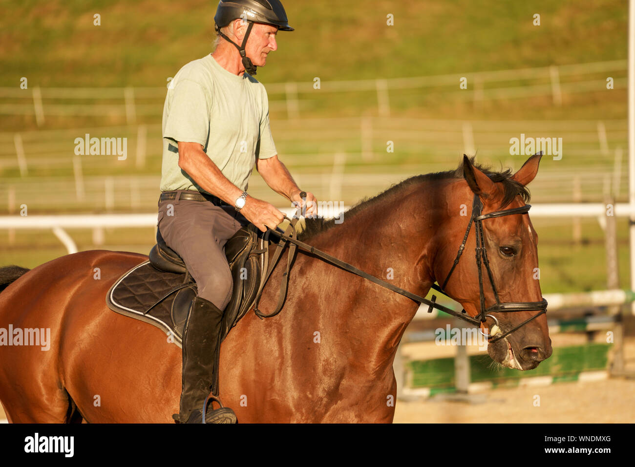 Riding for elderly people Stock Photo - Alamy