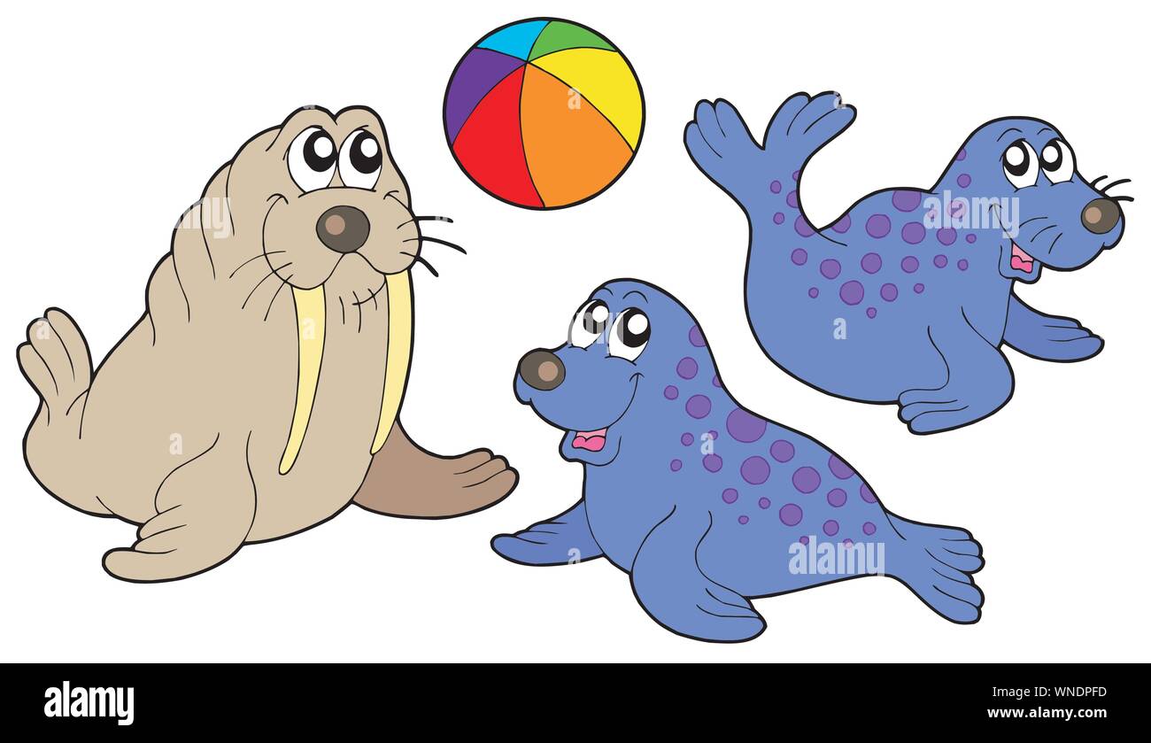 Playing seals Cut Out Stock Images & Pictures - Alamy