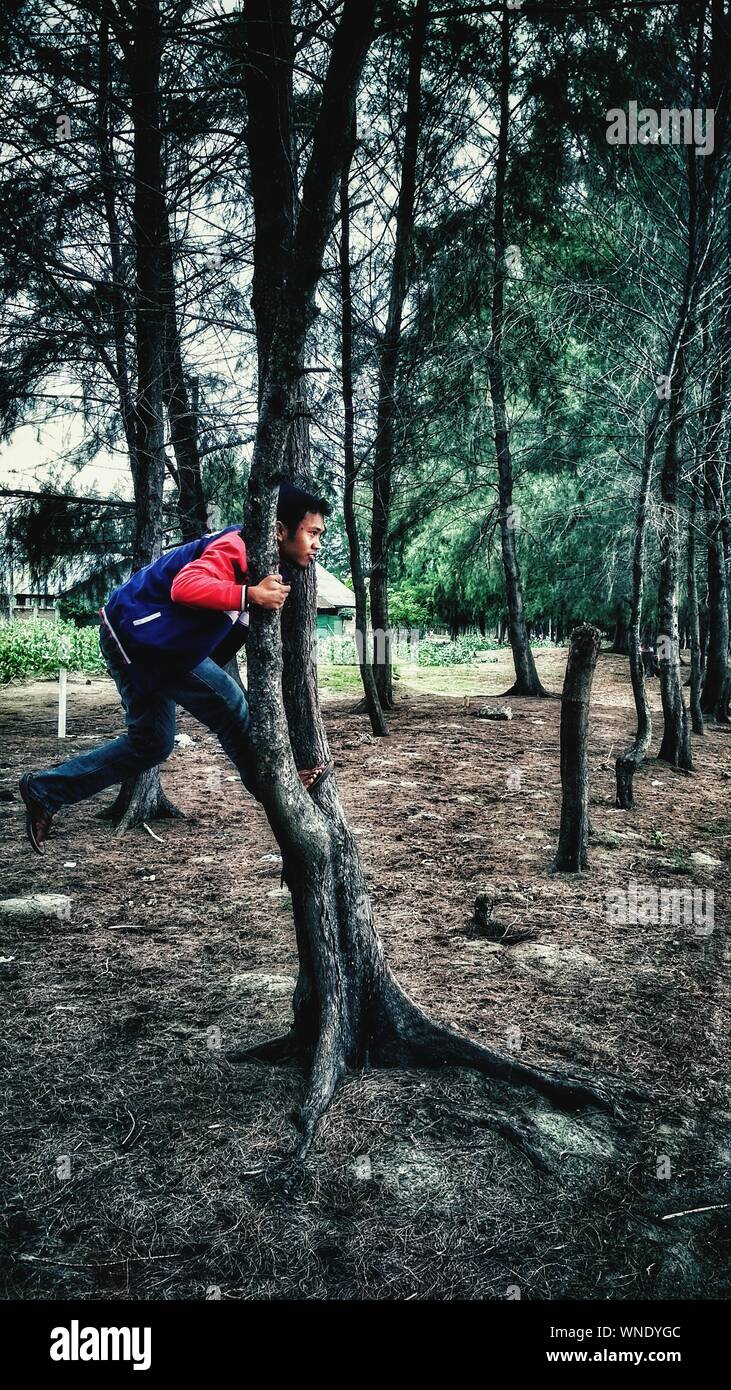 Indonesia tree climbing hi-res stock photography and images - Alamy