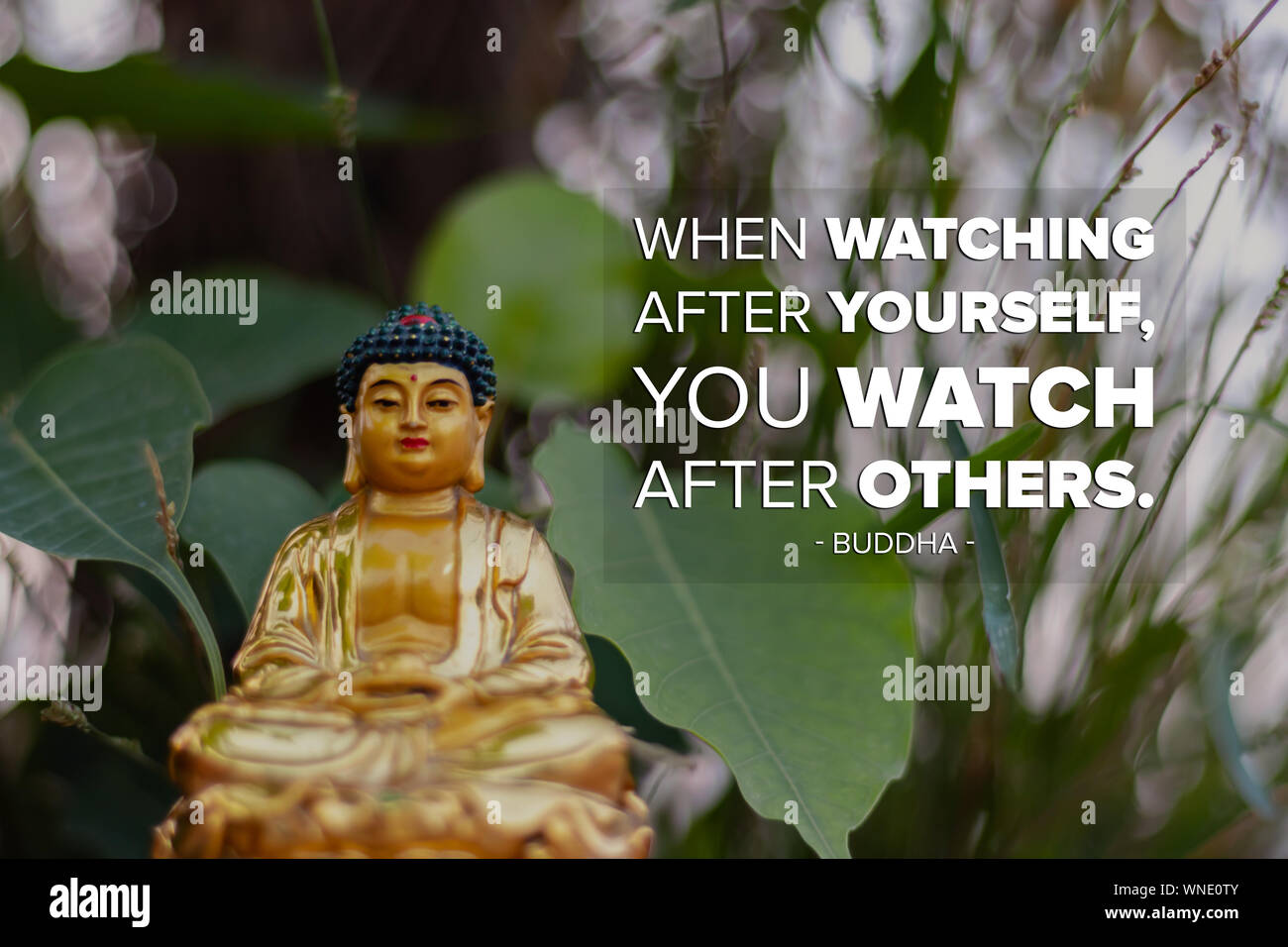 When watching yourself, you watch after other - buddha Stock Photo - Alamy