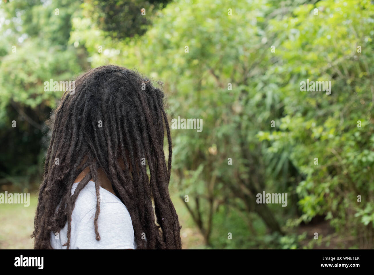 Green dreadlocks hi-res stock photography and images - Alamy