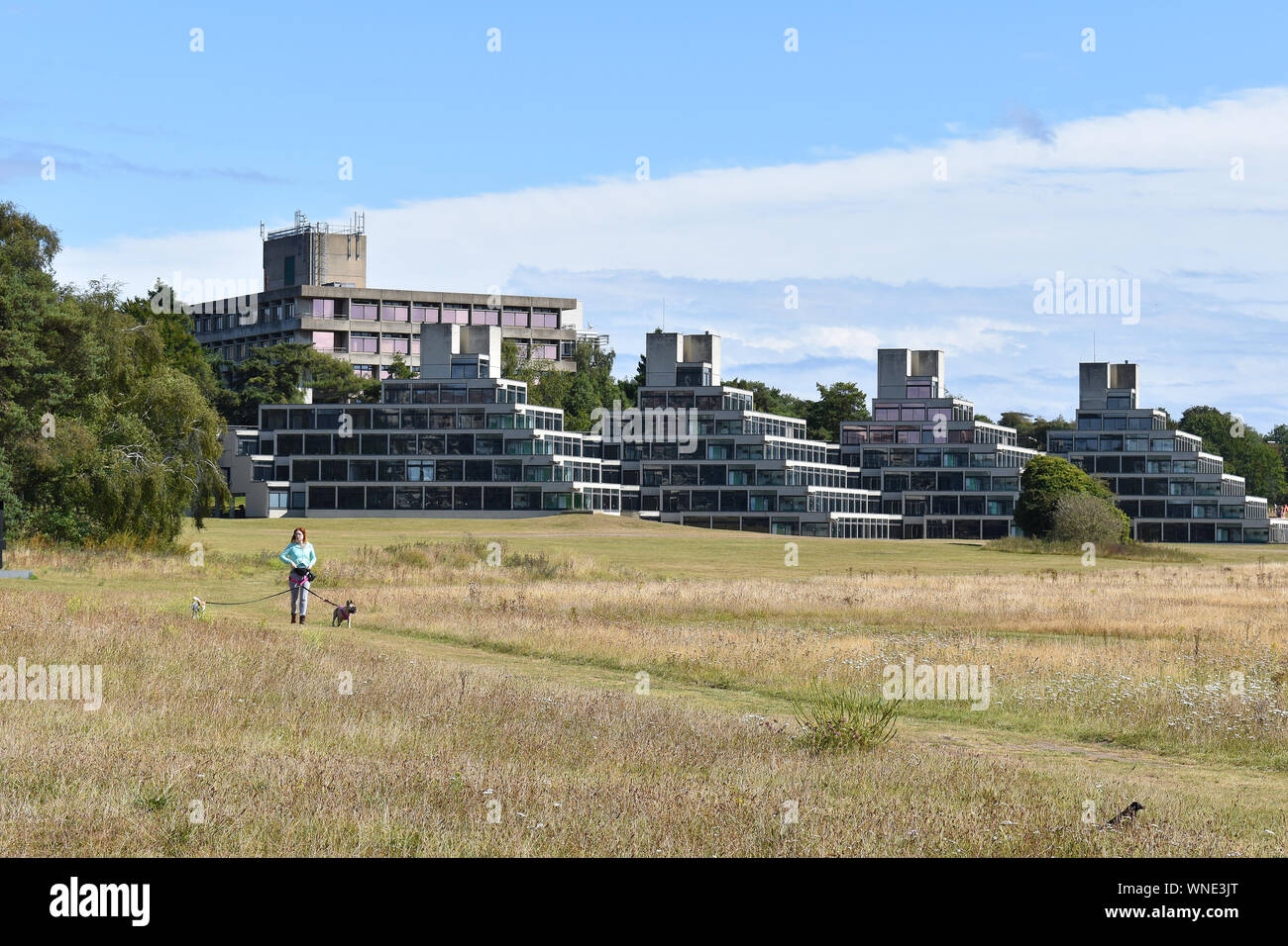 Uea norfolk norwich university ziggurat architecture hi-res stock ...