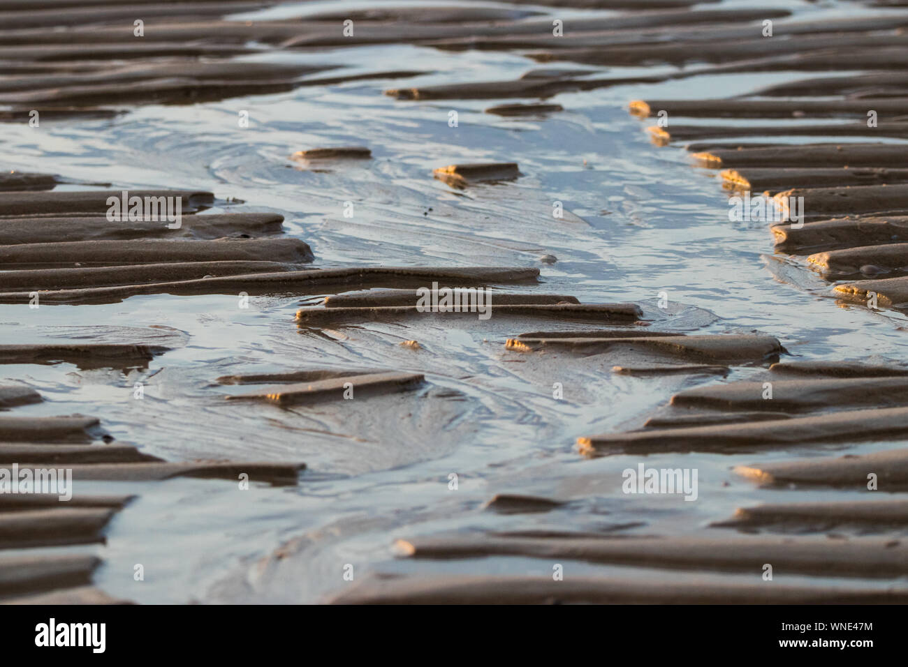 Little sand shape created by the sea water Stock Photo - Alamy
