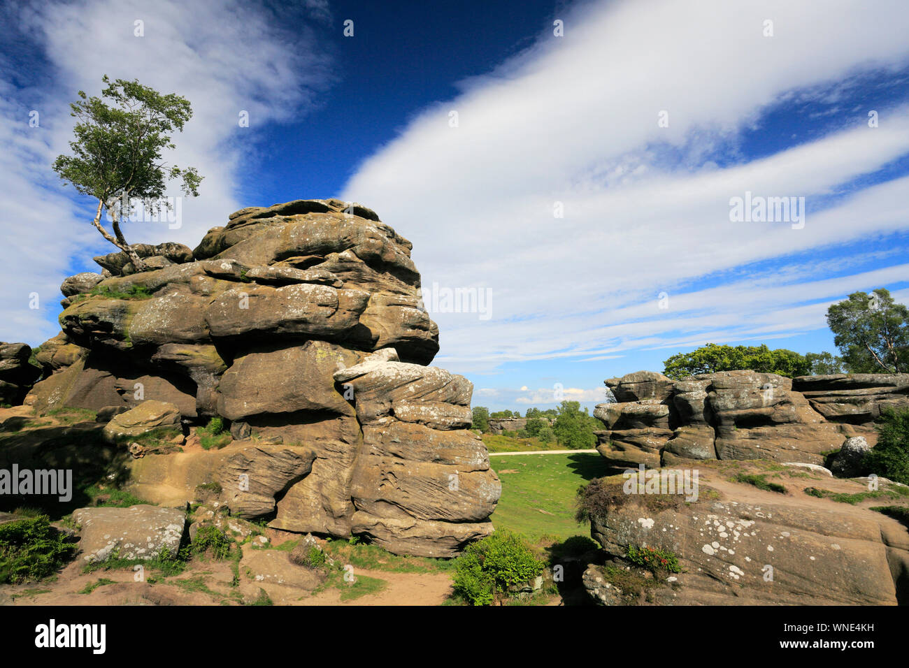 The Gritstone rock formations at Brimham Rocks, Nidderdale, North ...
