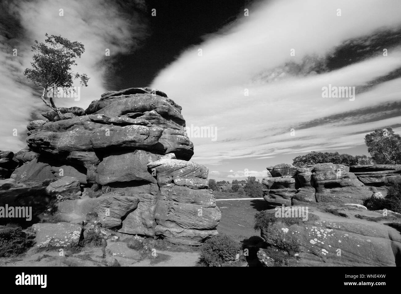 The Gritstone rock formations at Brimham Rocks, Nidderdale, North ...