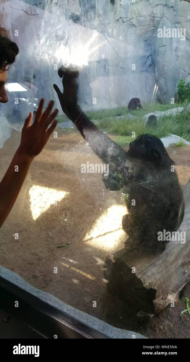 Zoo man hi-res stock photography and images - Alamy