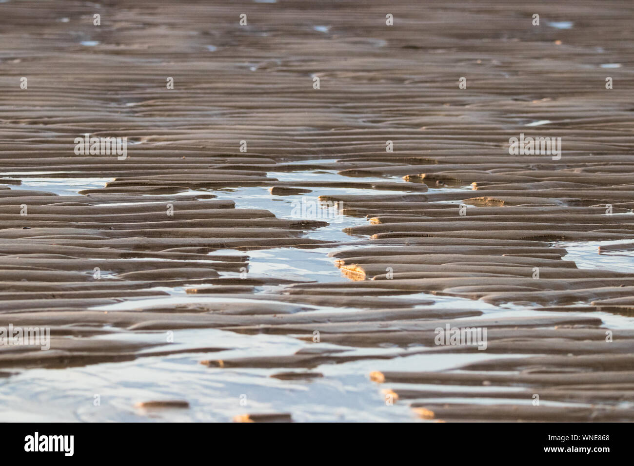 Sweeping up sand hi-res stock photography and images - Alamy