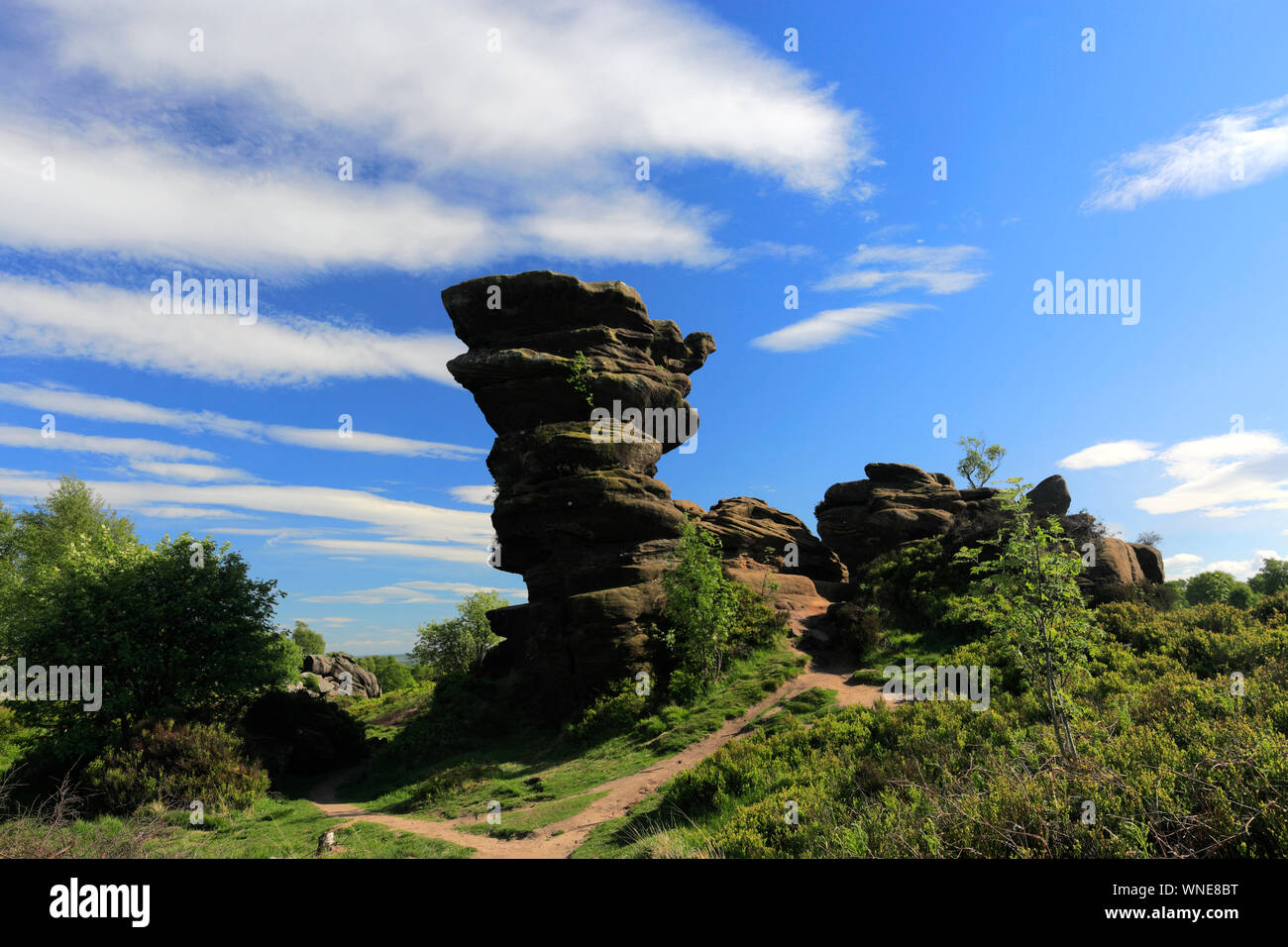 The Gritstone rock formations at Brimham Rocks, Nidderdale, North ...