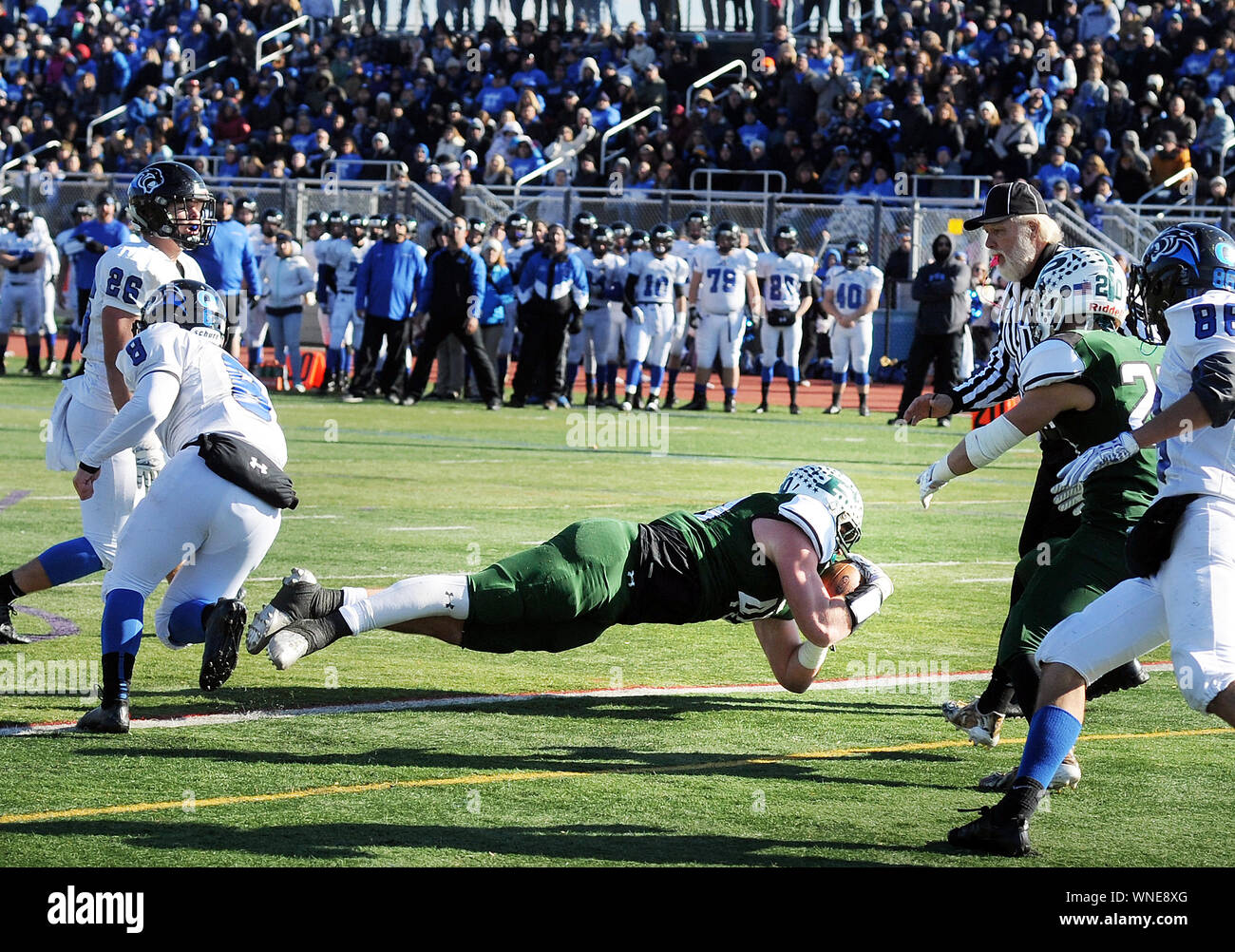 Nick tarburton hi-res stock photography and images - Alamy