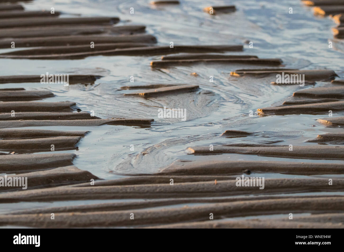 Little sand shape created by the sea water Stock Photo - Alamy