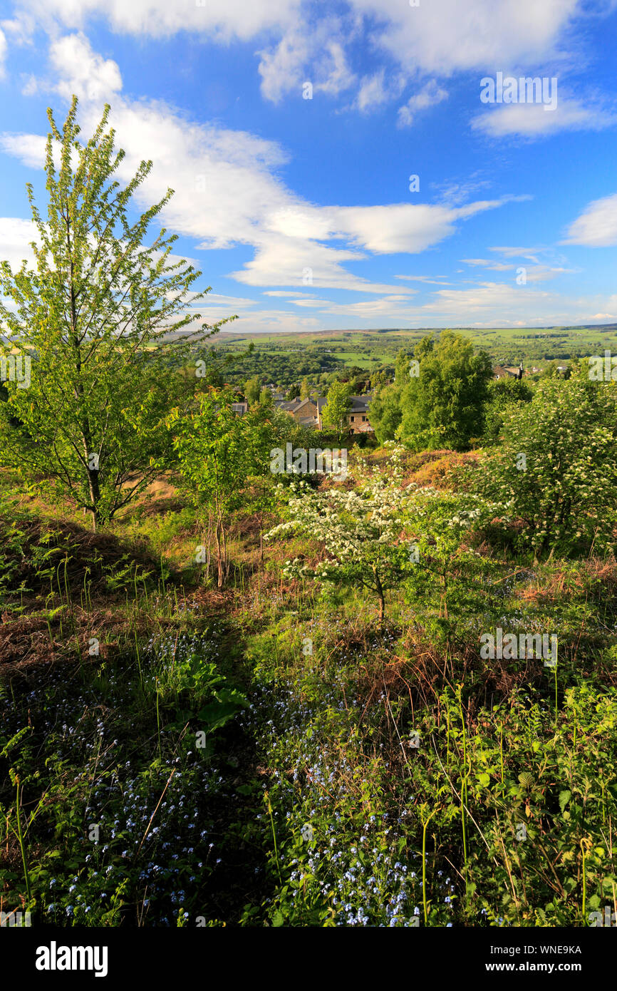 Ilkley tarn hi-res stock photography and images - Alamy