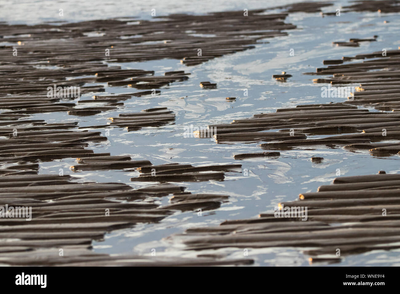 Little sand shape created by the sea water Stock Photo - Alamy