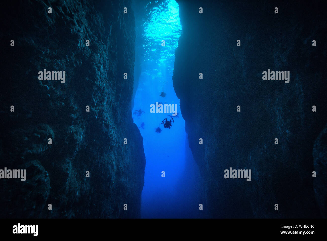 Diving Suit Deep Sea High Resolution Stock Photography and Images - Alamy