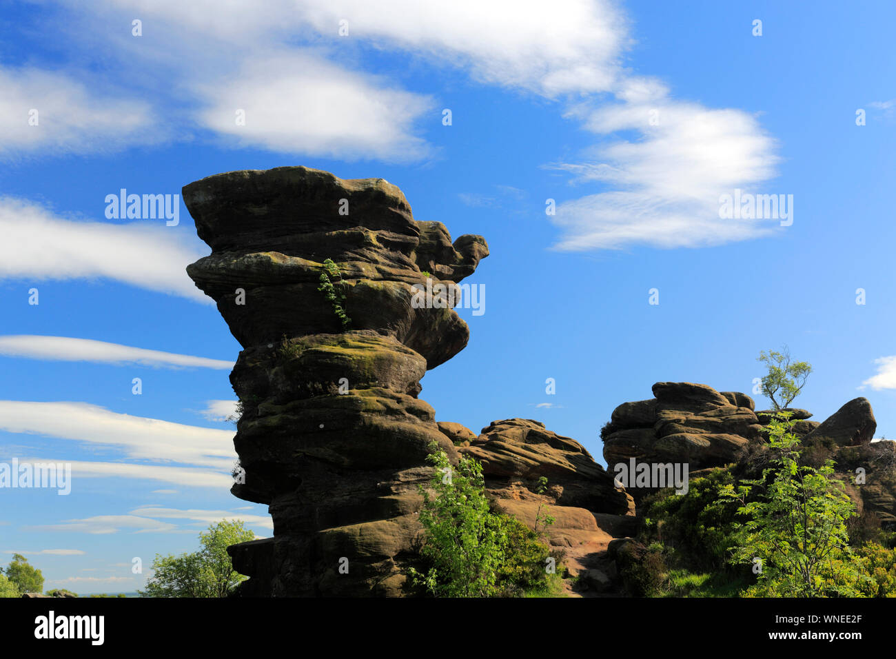 The Gritstone rock formations at Brimham Rocks, Nidderdale, North ...