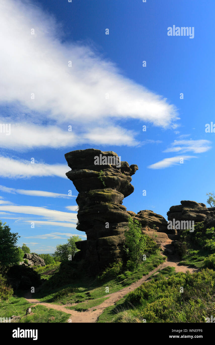 The Gritstone rock formations at Brimham Rocks, Nidderdale, North ...