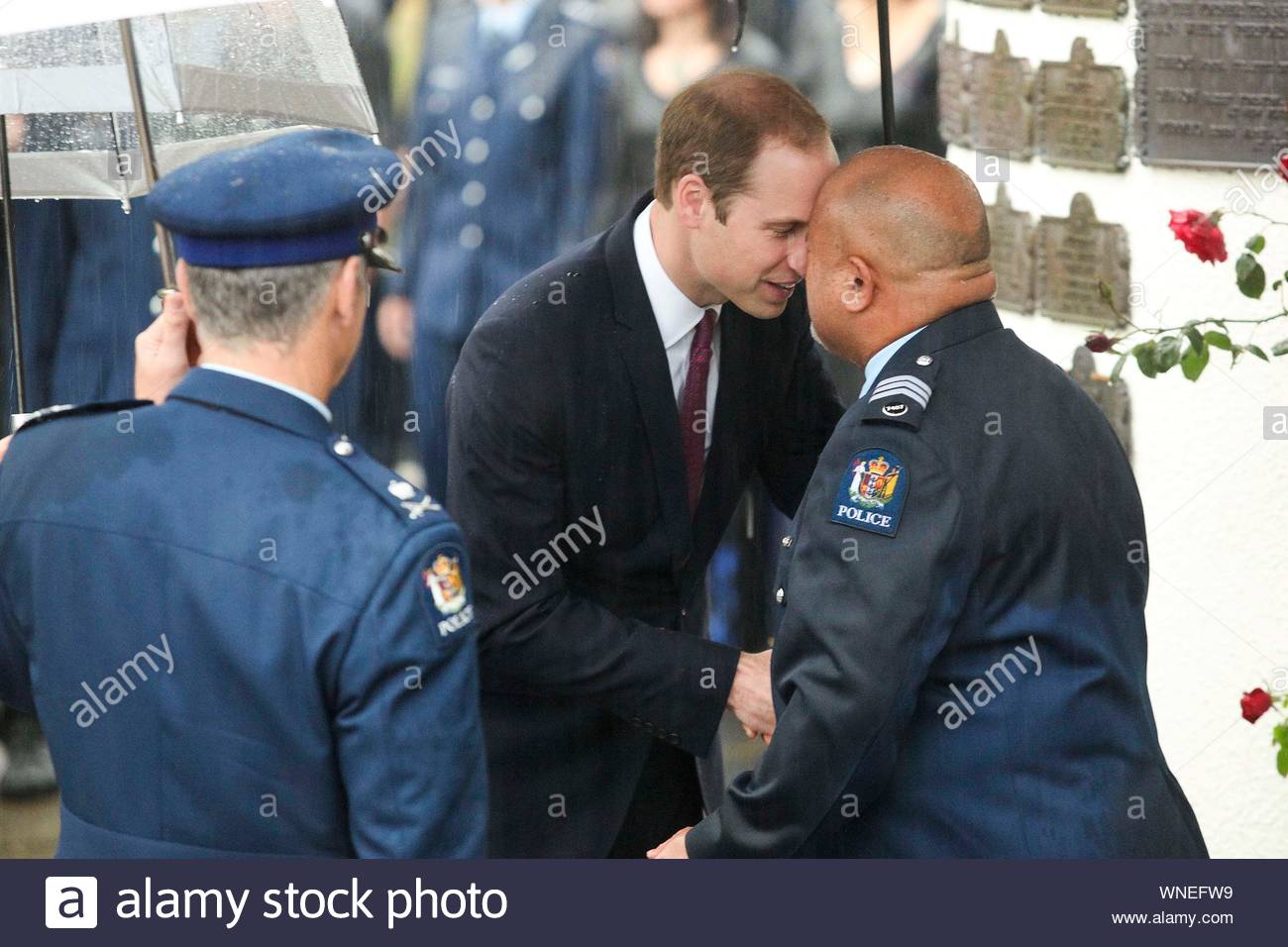 The Duchess Of Wellington Stock Photos & The Duchess Of Wellington ...