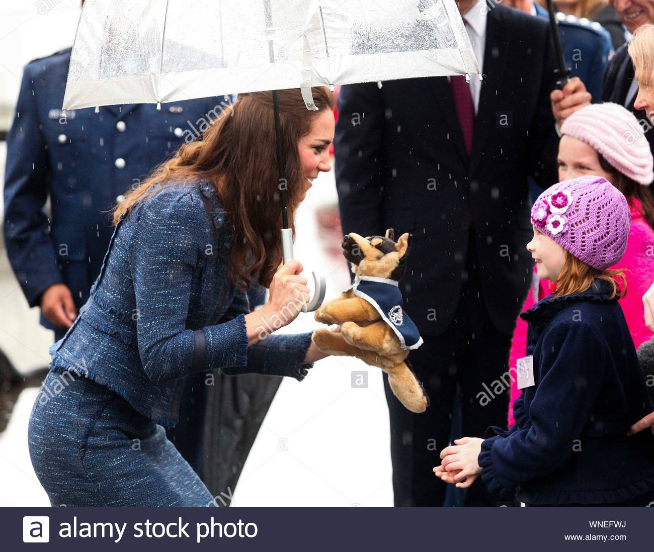 The Duchess Of Wellington Stock Photos & The Duchess Of Wellington ...