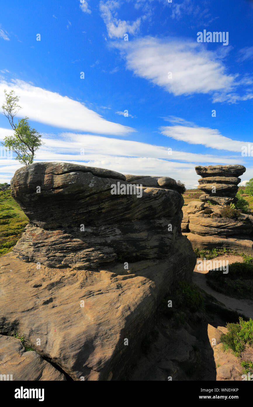 The Gritstone rock formations at Brimham Rocks, Nidderdale, North ...
