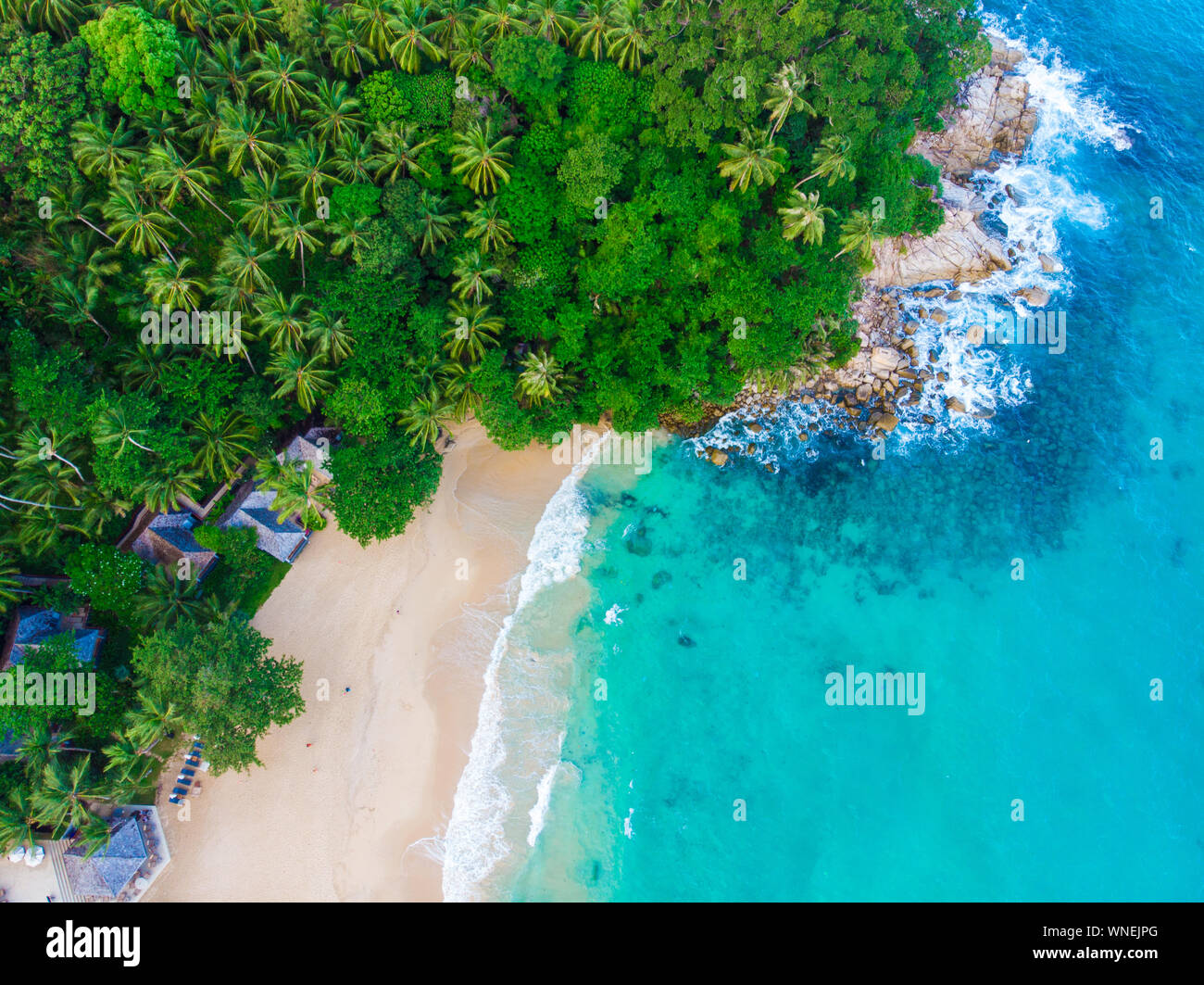 Tropical forest on sea island beach aerial view Stock Photo - Alamy