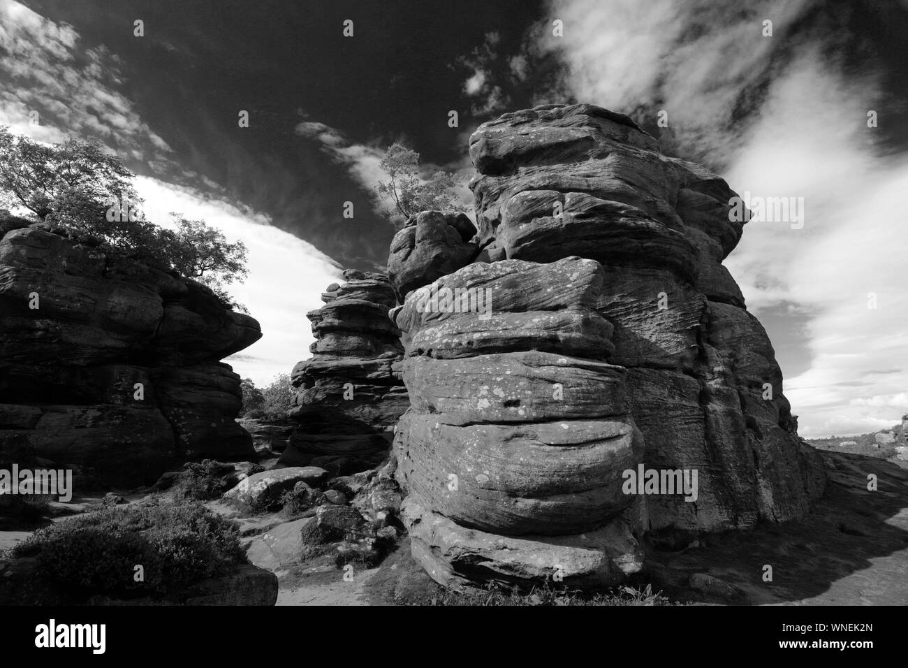 The Gritstone rock formations at Brimham Rocks, Nidderdale, North ...