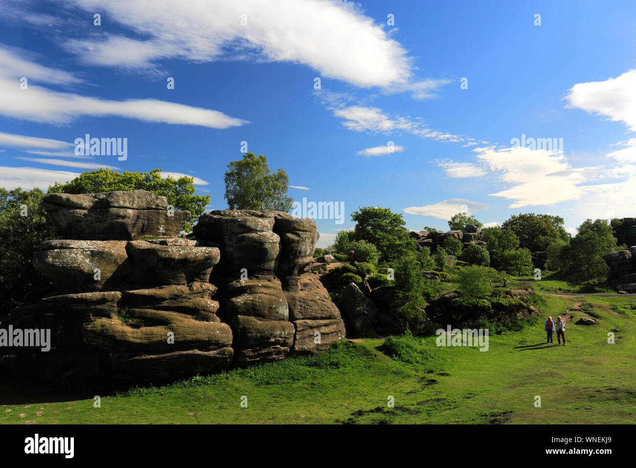 The Gritstone rock formations at Brimham Rocks, Nidderdale, North ...