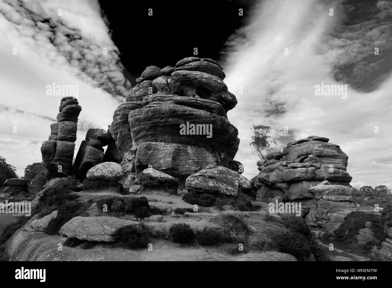 The Gritstone rock formations at Brimham Rocks, Nidderdale, North ...