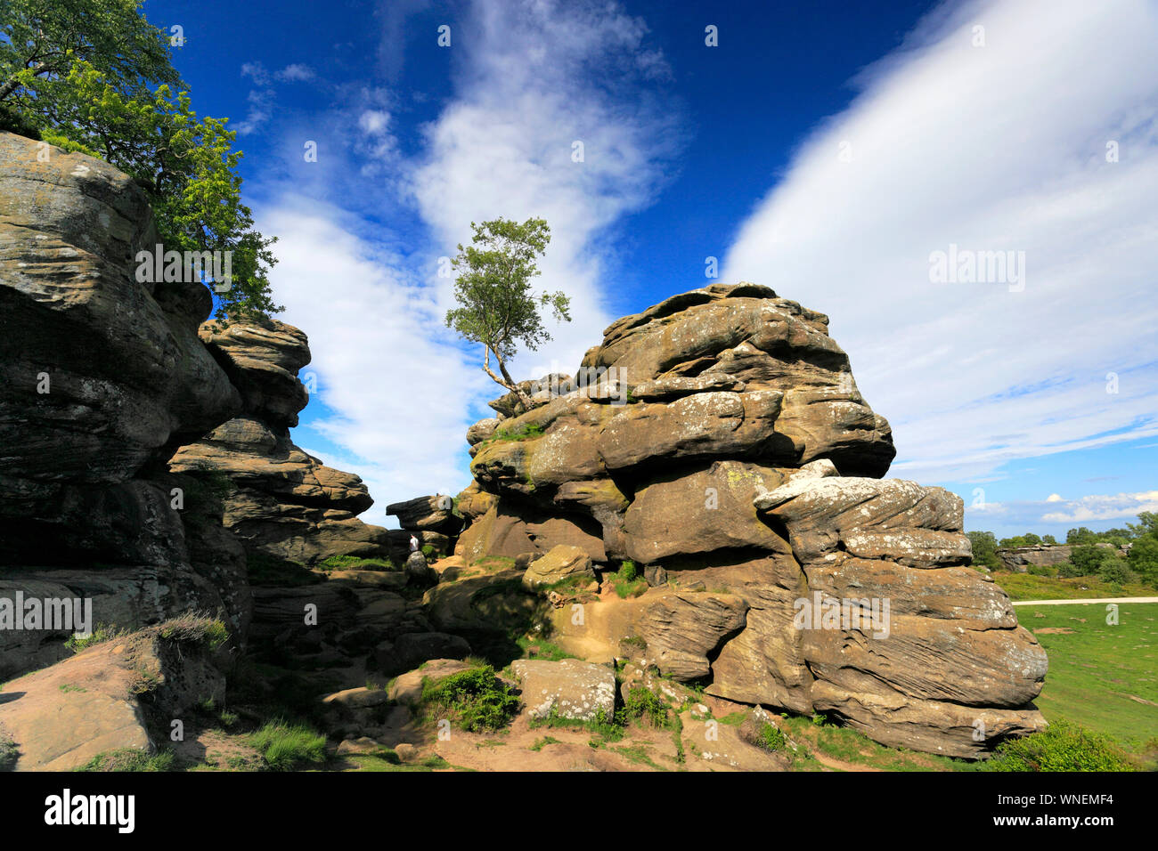 The Gritstone rock formations at Brimham Rocks, Nidderdale, North ...