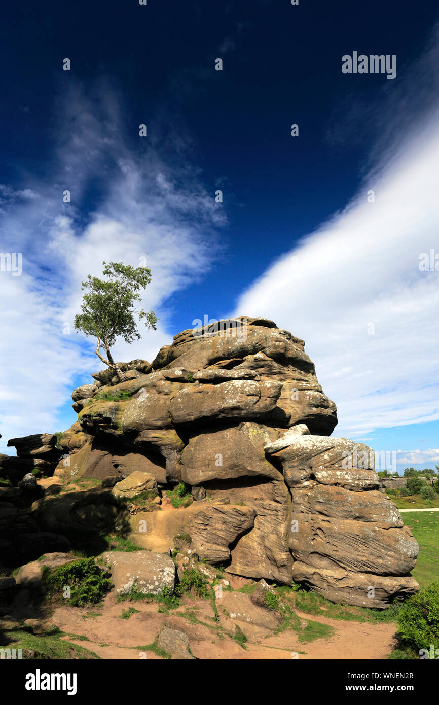 The Gritstone rock formations at Brimham Rocks, Nidderdale, North ...